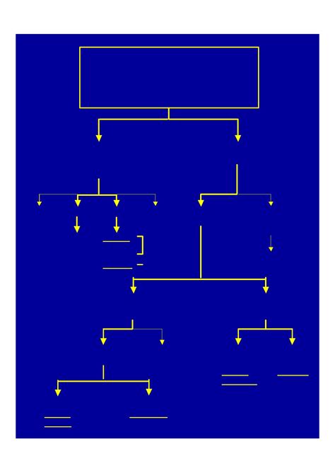 Classification Des Glucides Ou Sucres Ou
