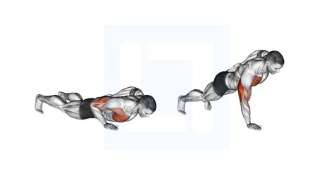 Negative Push Up Guide Benefits And Form
