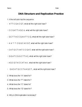 DNA Structure And Replication Practice By Appleseed Education TPT