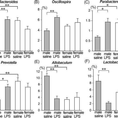 Phylum Level Analysis Of Gut Microbiota A The Relative Abundance Of