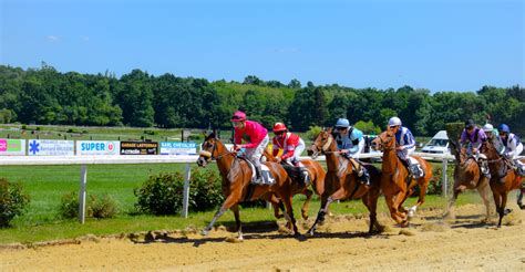 Devenez partenaire - Hippodrome de Pompadour