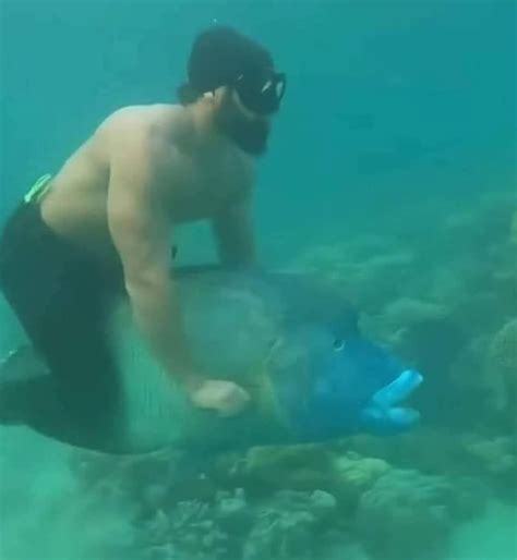 Not Something One Has Regressed To Album On Imgur