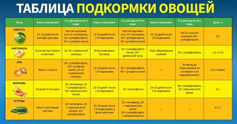 Подкормка овощей: что, чем, когда и как следует удобрять