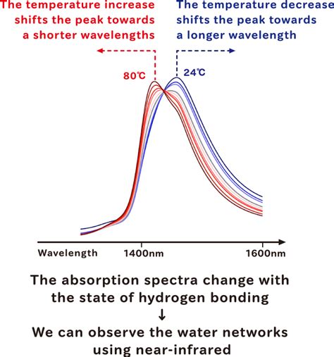 Theme2 Aquaphotomics Themes Keio University School Of Medicine And Suntory Joint Research