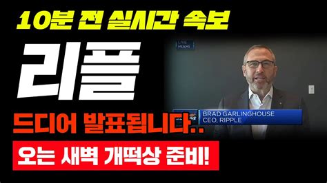 10분 전 실시간 속보 리플 드디어 발표됩니다오는 새벽 개떡상 준비리플코인 리플코인전망 Youtube