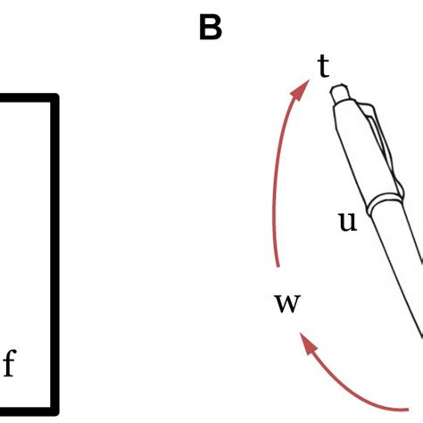 A Grid Cells In The Entorhinal Cortex Represent Locations Of A Body Download Scientific