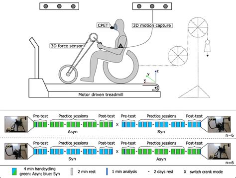 Overview Of The Experimental Set Up Top And The Cross Over Practice Download Scientific