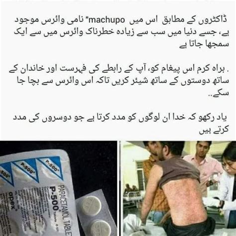 Zaib Iqbal On Linkedin X In