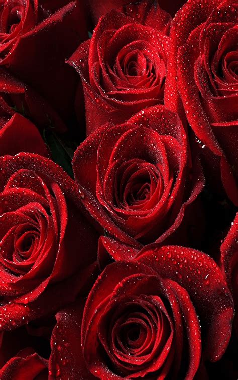 Lenovo Tab M Wallpapers HD Lenovo Tab M Wallpapers HD