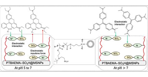 Zwitterionic Polymer Brushes Coated With Mesoporous Silica