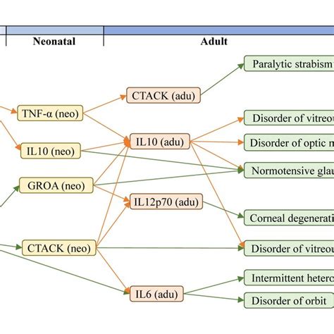 Causal Mediation Pathways From Maternal Gestational Duration To Adult