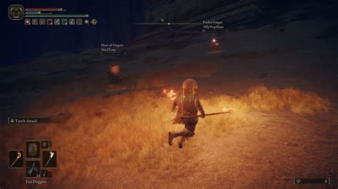 Torch Pole Trolling R Elden Ring Twinks