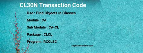CL N SAP Tcode For Find Objects In Classes