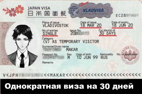 Визы в Японию от 2000 руб Фото бесплатно Мультивизы на 3 года Цена