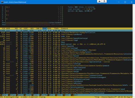 Macos Htop Isnt Returning Cpu Or Memory Usage Super User