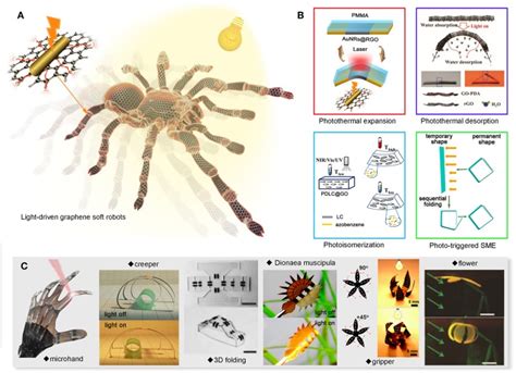 Light Responsive Actuators Based On Graphene Pmc