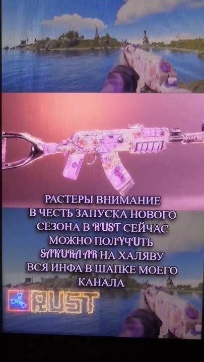 rust rustgame rustpvp rustclips rustshorts rustraid rustgameplay