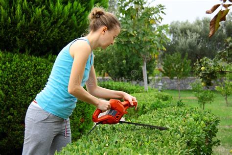 Woman Pruning Shrub With Tool In Garden Stock Image Image Of Color Gardening 34758485