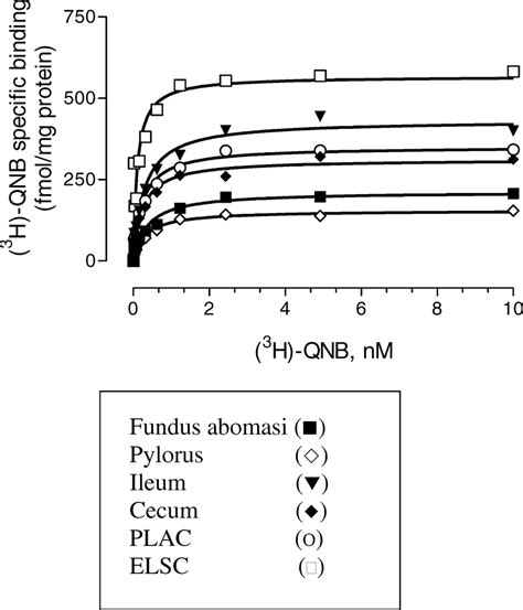 Saturation Of Specific Binding Of [ 3 H] Qnb Of Gastrointestinal Download Scientific Diagram