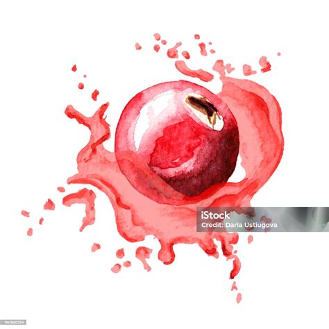 흰색 배경에 고립 된 주스의 비 말에 크 하 렌 신선한 베리 수채화 손으로 그린 그림 건강관리와 의술에 대한 스톡 벡터 아트 및 기타 이미지 건강관리와 의술 건강한