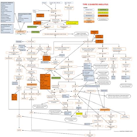 Diabetes Mellitus Type 1 Concept Map