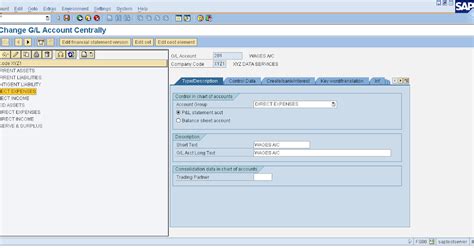SAP G L Accounts