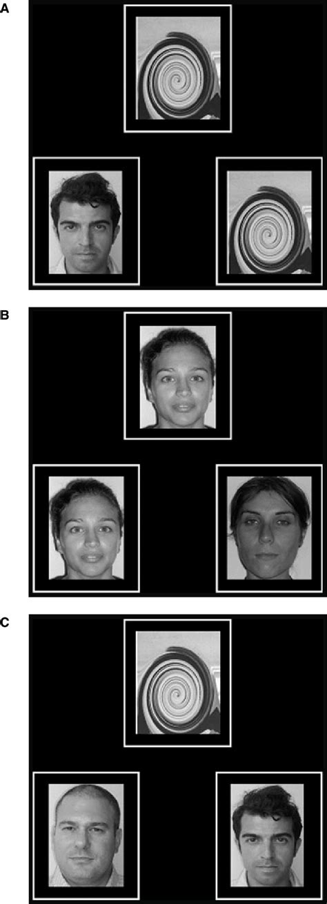 Examples Of Faces Used As Stimuli For The Encoding A Perception B