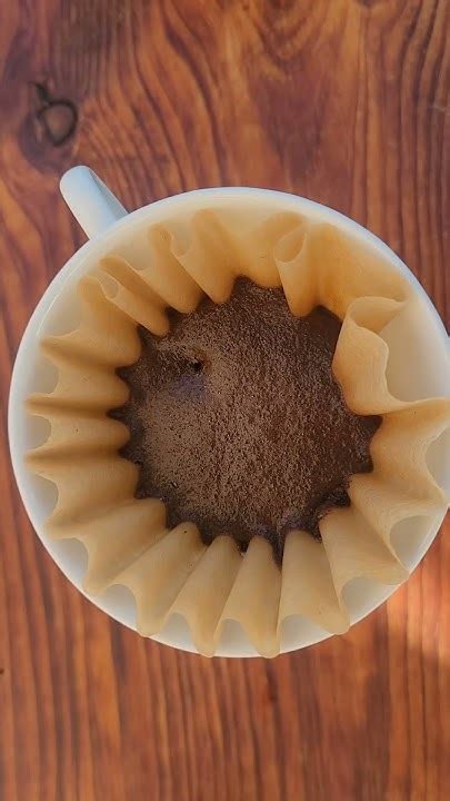 내가 쉬어가는법 소소한일상 Coffee 시골살이브이로그 Nature 휴식핸드드립 맥주커피 Youtube