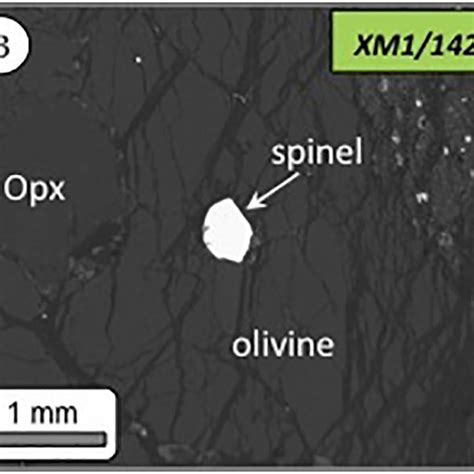 Sonja Aulbach Research Associate Phd Goethe Universität Frankfurt Am Main Frankfurt Am