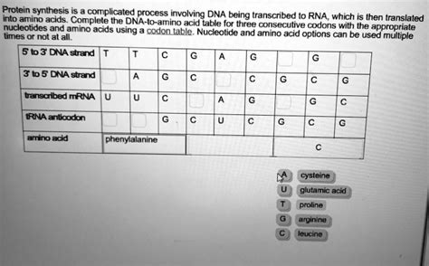 solved protein synthesis is complicated process involving dna being