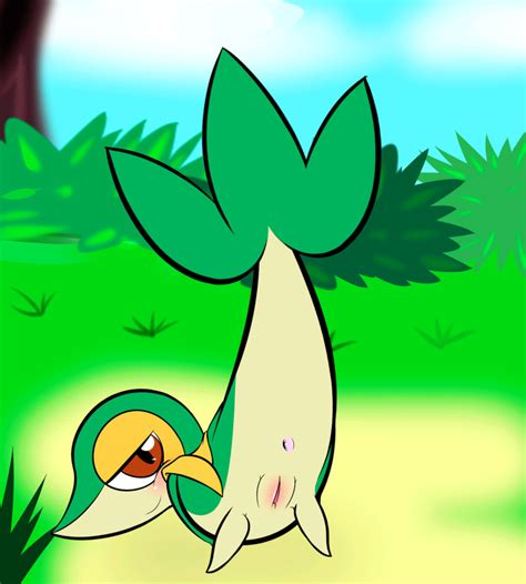 Rule 34 Animated Anus Ass Up Female Feral Generation 5 Pokemon