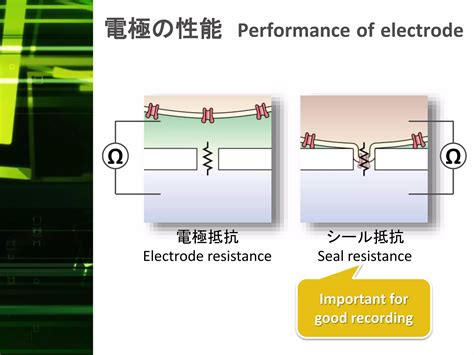 Development Of High Throughput Planar Patch Clamp System At Low Cost Ppt