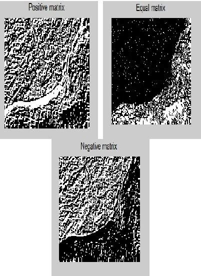 Figure 5 From Classification Of Patterns On High Resolution SAR Images Semantic Scholar
