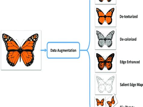an optimized machine learning model to improve your business