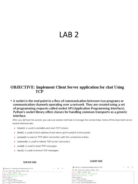lab 2 pdf