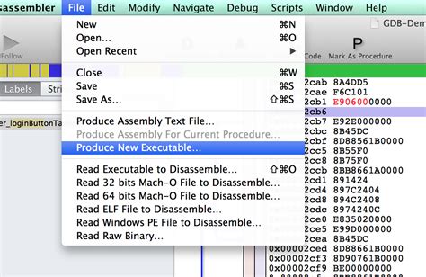 Ios Application Security Part 28 Patching Ios Application With Hopper