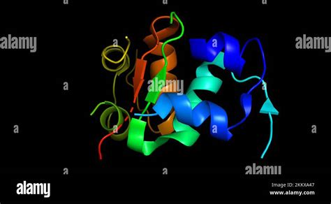 Chemical Structure Of Insulin Stock Videos And Footage Hd And 4k Video Clips Alamy
