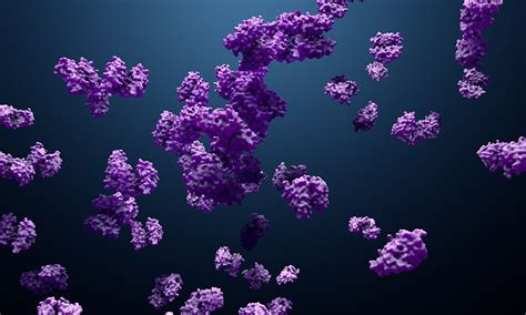 Next Generation Biolayer Interferometry Bli Technology
