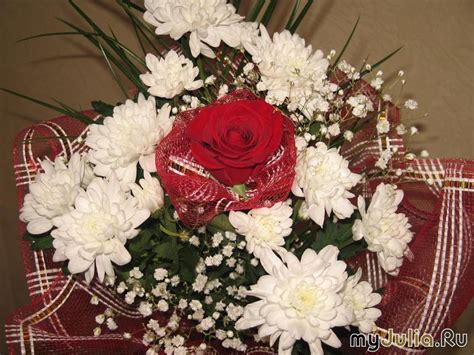 Что подарить подруге на день рождения Разное женская социальная сеть