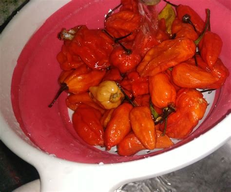 Vu Meter Arduino Nano And Ws2812b с микрофоном New Style Sound