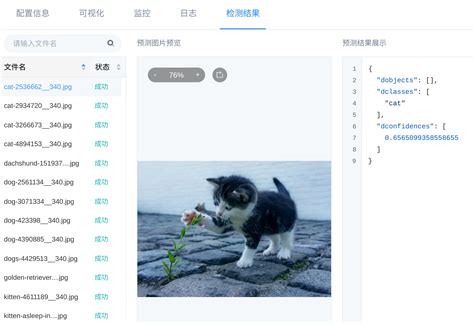 分类 智算平台用户文档 文档