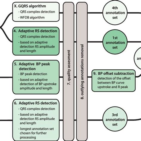 Schematic Diagram Of The Developed Algorithm The Numbering Represents Download Scientific