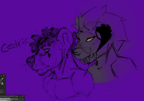 Cedroc Idea By Ottersnowflake15 On Deviantart