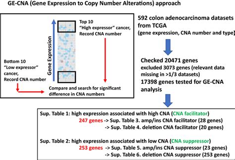 Identifying Genes Associated With Copy Number Alterations In Colon Download Scientific Diagram