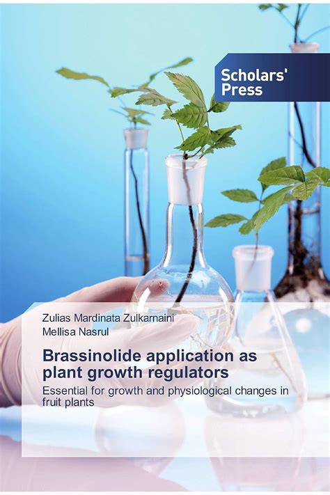 Brassinolide Application As Plant Growth Regulators Essential For