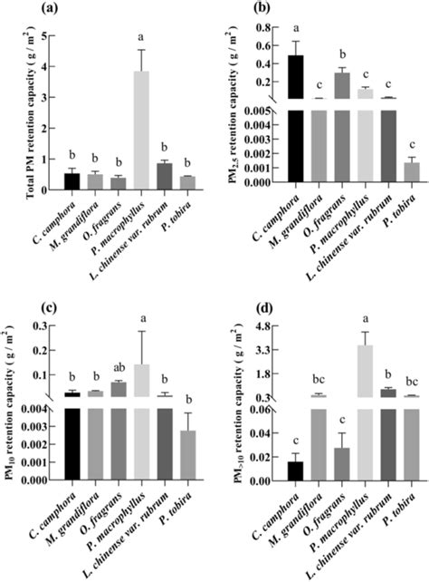 Scientific Observation Sheet