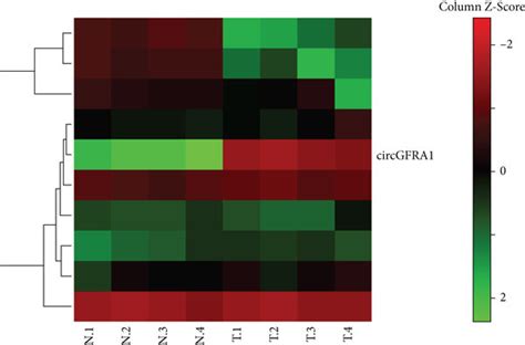expression patterns of circgfra1 in pca a microarray analysis of