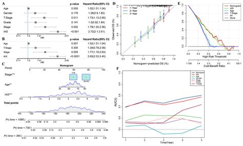 Immune Activity Score To Assess The Prognosis Immunotherapy And