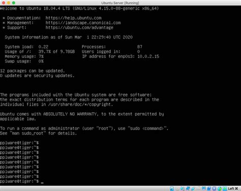 Ubuntu Server Aprenda a instalar esta potente distribuição Linux
