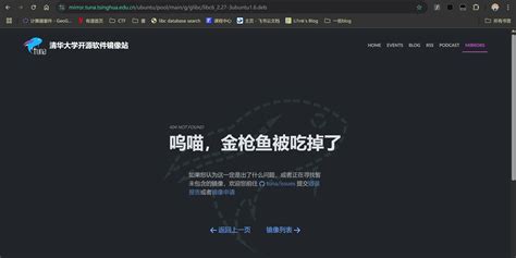 Glibc All In One 下载后 Failed To Download Package 怎么办 Ocarina Of Time
